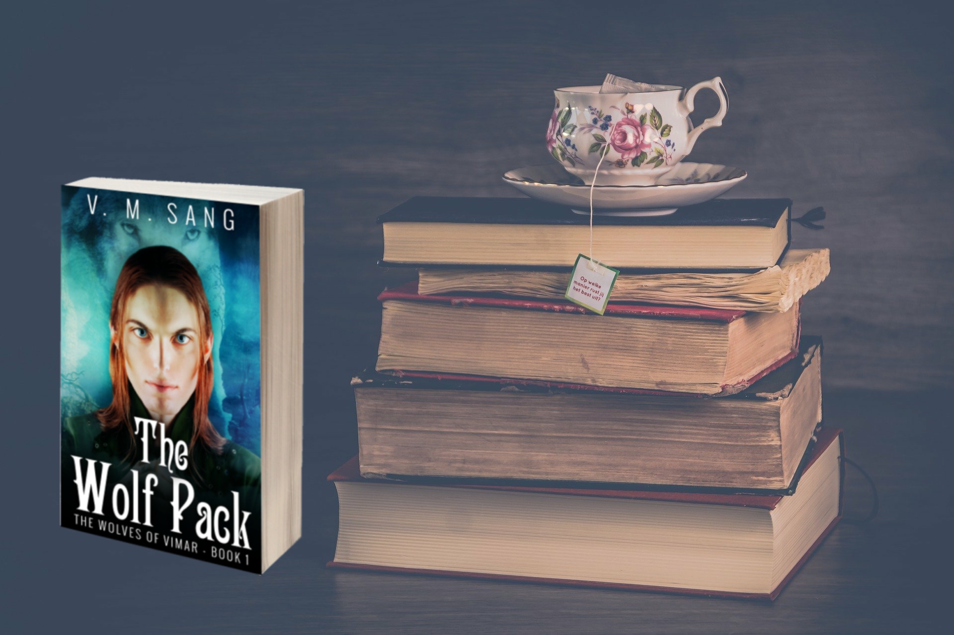 The Wolf pack OFFER | Dragons Rule OK. V.M.Sang (author)